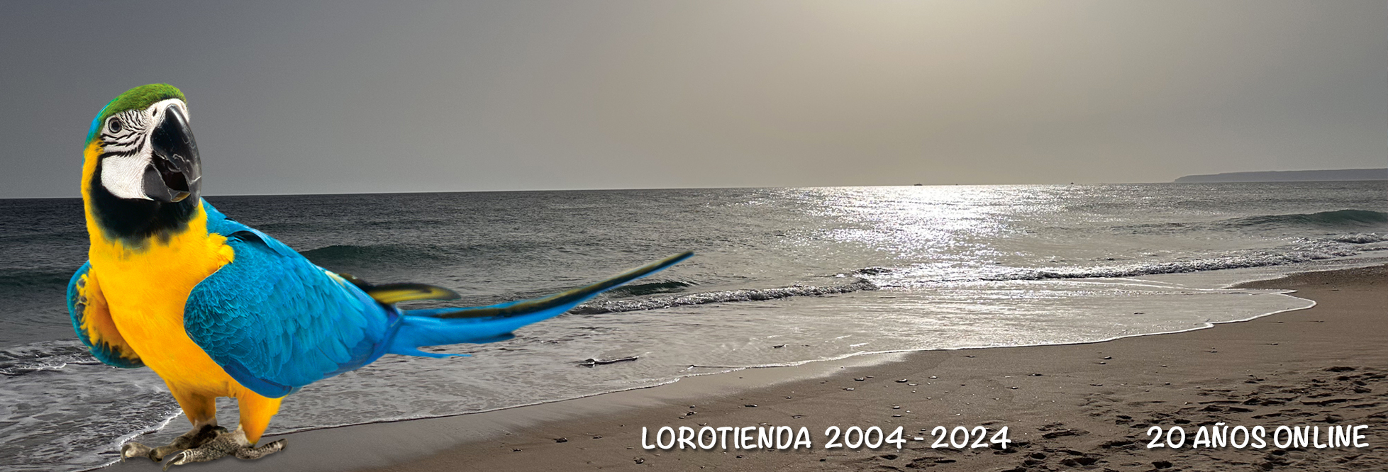 Lorotienda